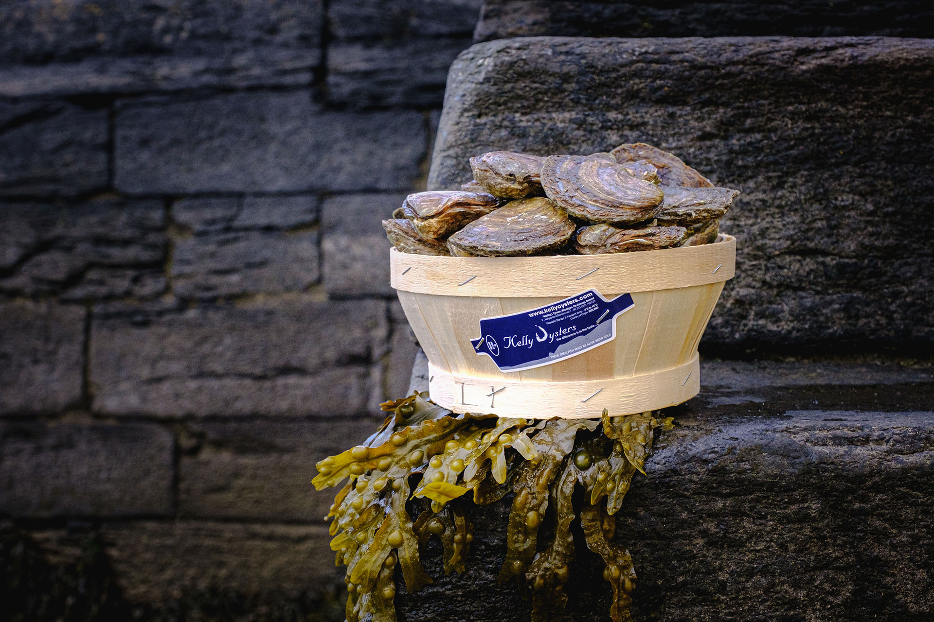 Tips for Storing Your Shellfish at Home - Kelly Oysters | Ireland